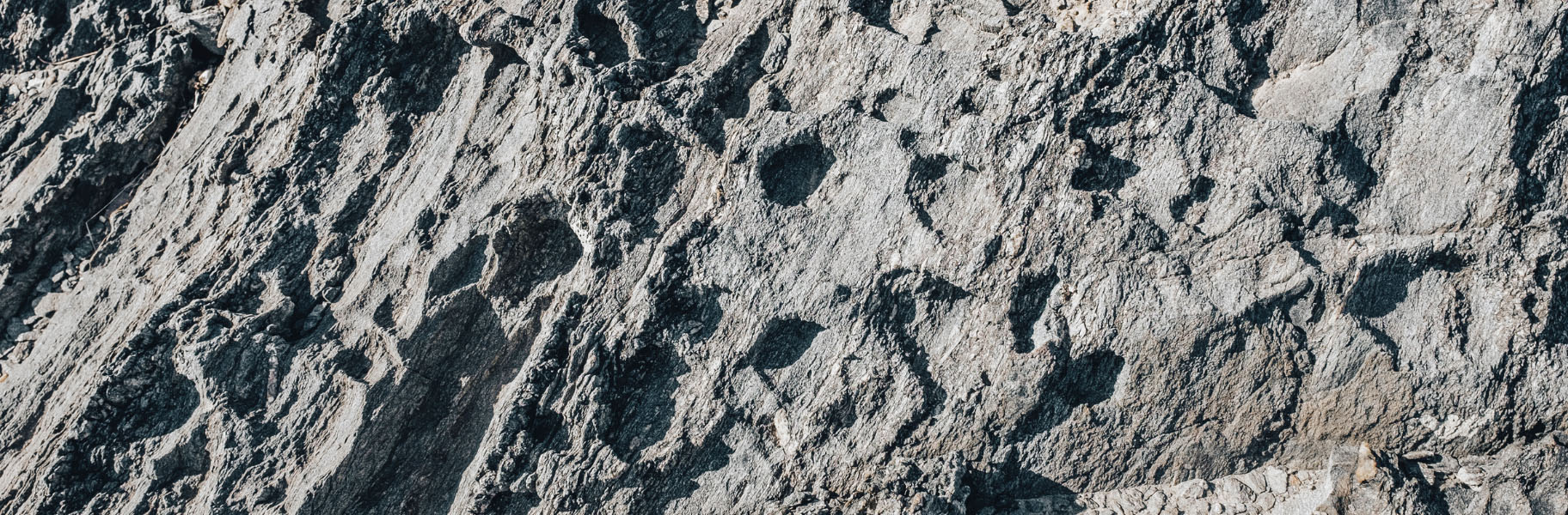 Powder and solid transfer in foodpharm applications | Venair